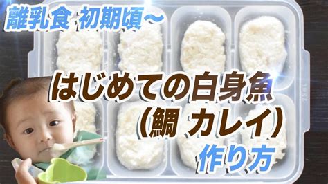【離乳食 初期】はじめての白身魚鯛 カレイストック作り Youtube