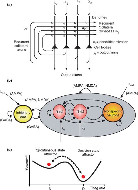 Figure 1 From Attractor Networks Semantic Scholar