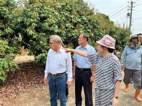 大樹區農會 姑山倉庫 今日總幹事與農糧署長官、農業局局長、農改場、邱議瑩大樹主任等單位會同前往荔枝園會勘查，
