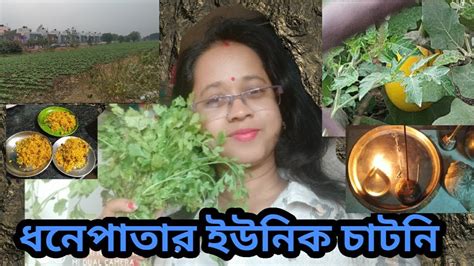 আলাদা স্বাদের ধনেপাতার চাটনি হলুদ বেগুন Bengalivlog Poha Youtube