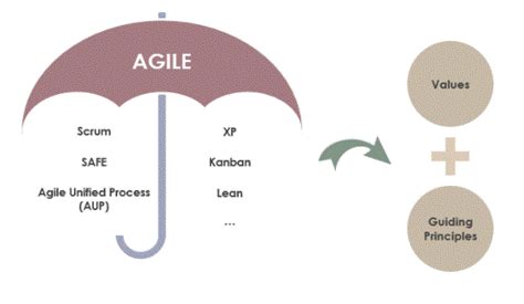 Key Values And Principles Behind The Agile Manifesto A Definitive Guide Updated