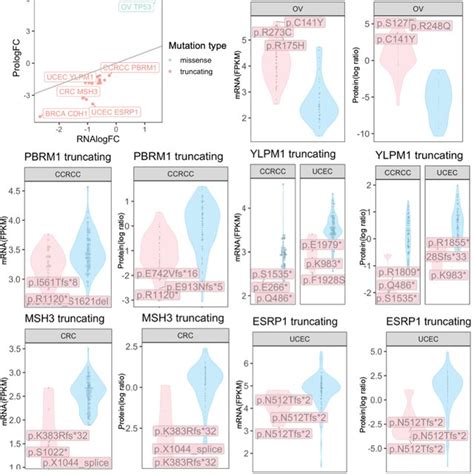 Gene Mutations Showing Concordant Impacts On Gene And Protein