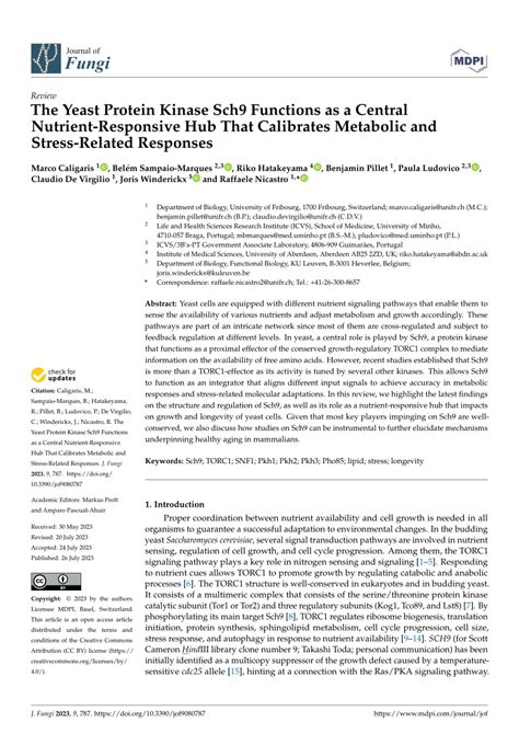 pdf the yeast protein kinase sch9 functions as a central nutrient