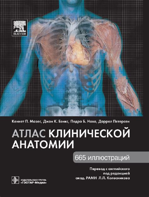Атлас клинической анатомии