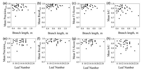 automatic branch leaf segmentation and leaf phenotypic parameter