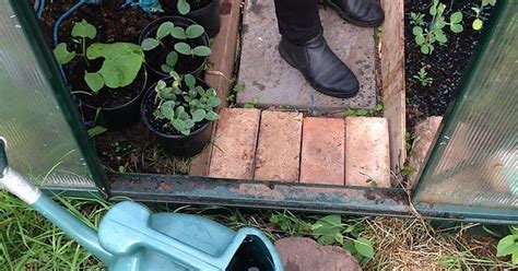 Gardening Pictures Album On Imgur