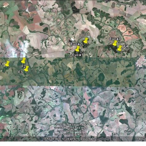 Sampling Areas Euca Eucalyptus Plantations F Forest Fragments Download Scientific Diagram