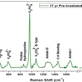 A Well Labeled Baseline Corrected Raman Spectrum Of A Pre Irradiated