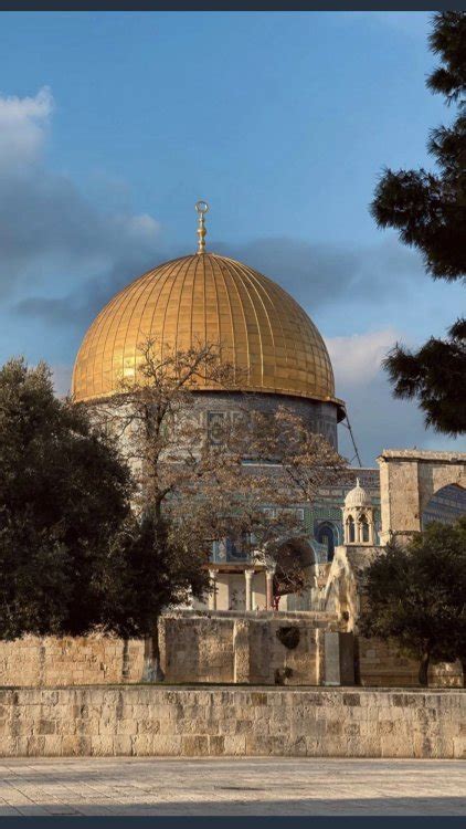 اللهم انصر الفلسطينين بنصرك وأيدهم بتأيديك وأمدهم Tumbex