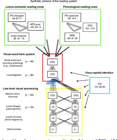Structure Of Inferior Longitudinal Fasciculus Semantic Scholar
