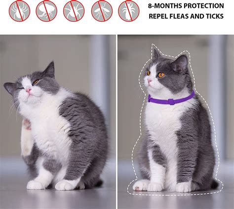2 Pack Cat Flea Collar 8 Months Protection Repels Fleas And Ticks
