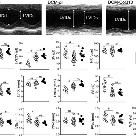 Effect Of Coq10 Therapy By I P Injection On Left Ventricular Lv
