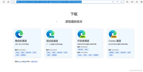 安装 Selenium 及配置 Edge、chrome 浏览器驱动selenium Edge Driver Csdn博客