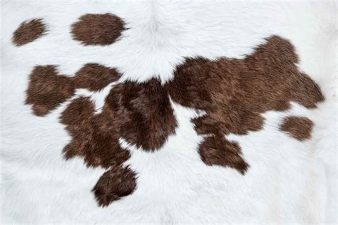 Care For Your Cowhide Rug Essential Tips For Longevity