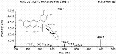 一种从蓝靛果中快速高效提取纯化花色苷的方法与流程