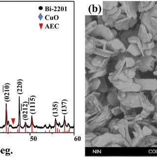 A X Ray Diffraction Pattern B SEM Photograph Of Precursor Powders Download Scientific Diagram