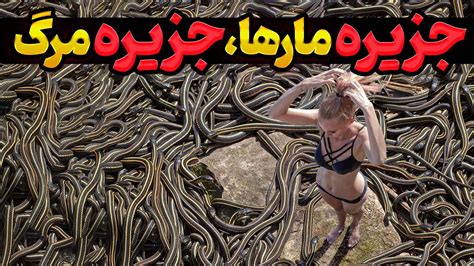 جزیره مارها واقعیت‌های ترسناک و خطرناک‌ترین جزیره مرگ Youtube