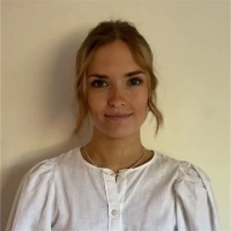 Perovskite Solar Technology Revolutionary Applications Reshaping