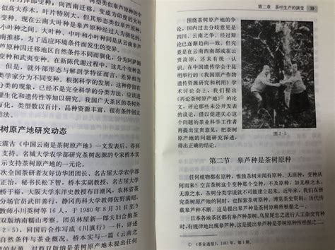 茶叶到底是传入的还是原产自中国 百科TA说