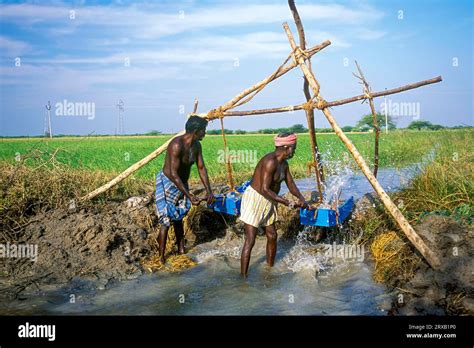 Traditional Irrigation System In India Upsc At Skye Milliner Blog