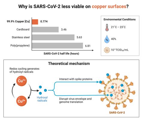 Create Stunning Scientific Graphics Using Biorender By Ndh2016 Fiverr