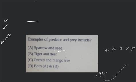 Examples Of Predator And Prey Include Filo