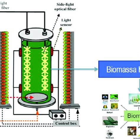 Experimental Set Up Schematization Download Scientific Diagram