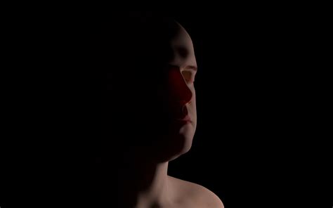 Shader Tests Including But Not Limited To SSS Blender Tests Blender Artists Community