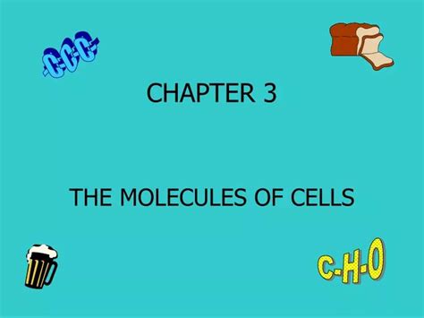 PPT CHAPTER 3 PowerPoint Presentation Free Download ID 59739