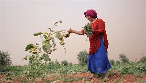 Rojava Revolution A Degrowth Perspective On The Current Situation In