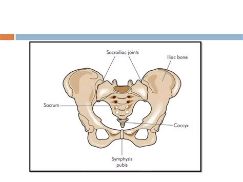 Sacral Fracturespptx