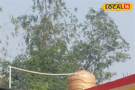 Pani Ki Tanki Kaise Saaf Kare हमेशा साफ रहेगी पानी की टंकीबस बीच