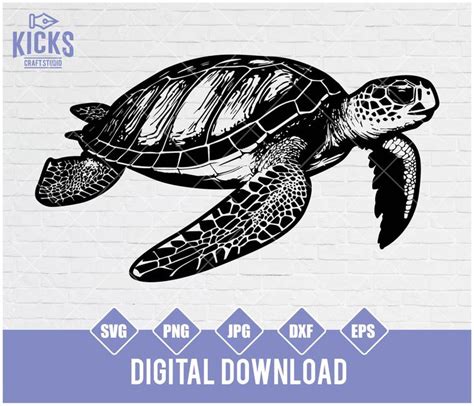 Sea Turtle Svg Seaturtle Svg Ocean Svg Files For Cricut Svg Png