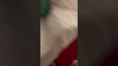 Can A Dog Survive Bromethalin Trust The Answer