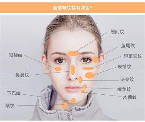 抗皱紧致护肤品去皱纹最有效的产品，平价好用的护肤品品牌推荐 哔哩哔哩
