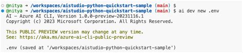 05 Provision Search Build A Copilot With Your Data