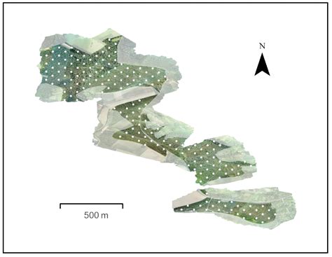 Remote Sensing Free Full Text Application Of Yolov5 For Point Label