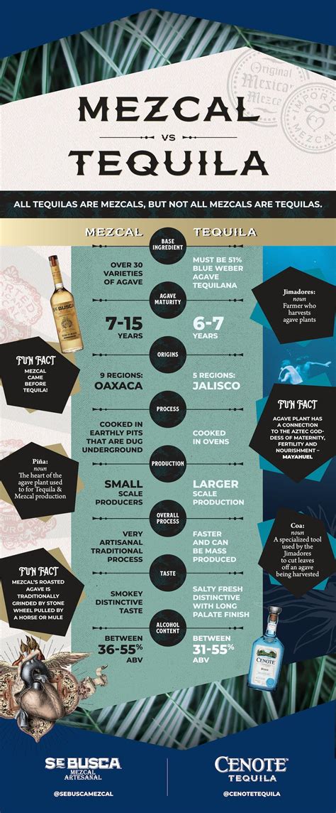 Difference Entre Mezcal Et Tequila At Thelma Guerrero Blog