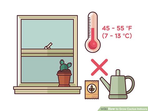 How To Grow Cactus Indoors With Pictures Wikihow