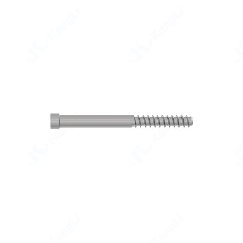 Anti Rotation Screw Kangli Orthopedics