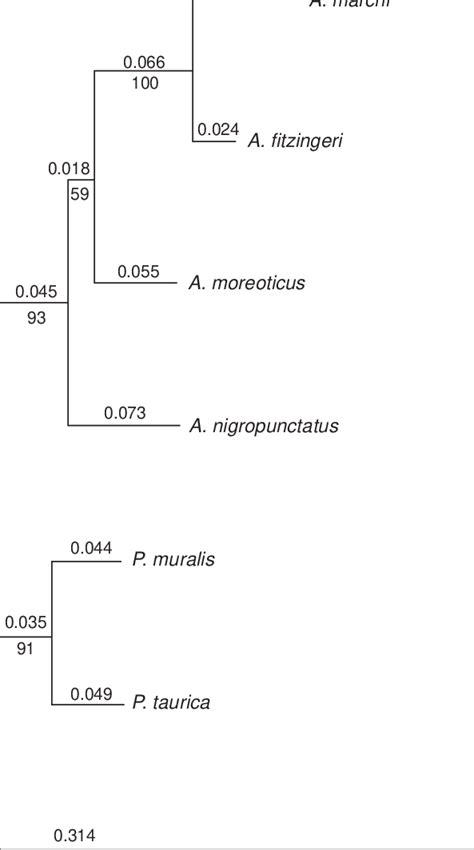Maximum Likelihood Tree Log Likelihood Based On The Combined Download Scientific