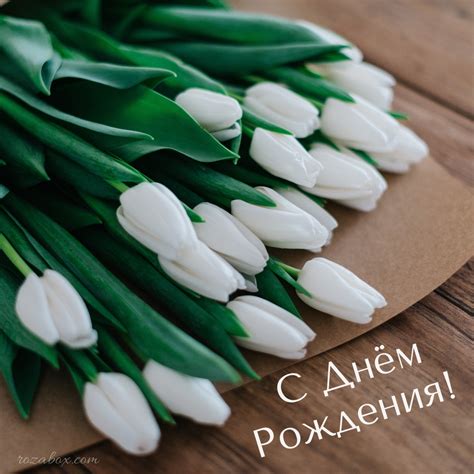 С днём рождения - классные открытки - RozaBox.com