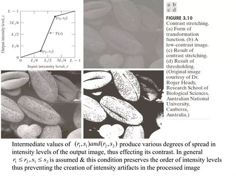 3 intensity transformations and spatial filtering slides ppt