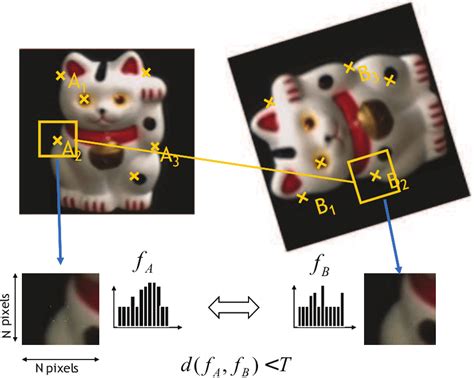 object recognition with local features requires the algorithm to