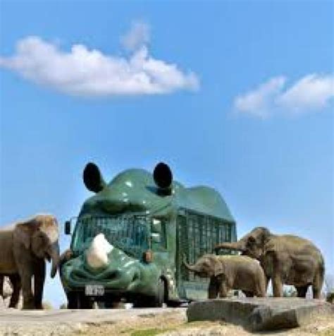 【私人包車】暑期親子遊｜大分九州自然動物園、別府海地獄溫泉、地獄蒸工房 鐵輪、由布院、金鱗湖｜行程可自由調整 Kkday