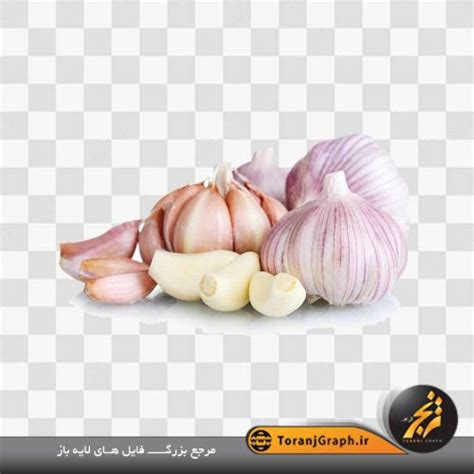 تصاویر Png ترنج گراف