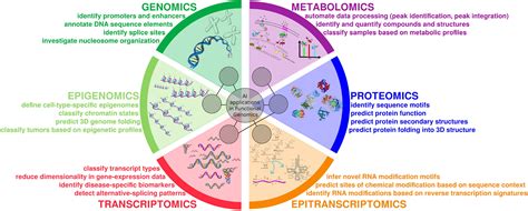 Ai Applications In Functional Genomics Computational And Structural Biotechnology Journal