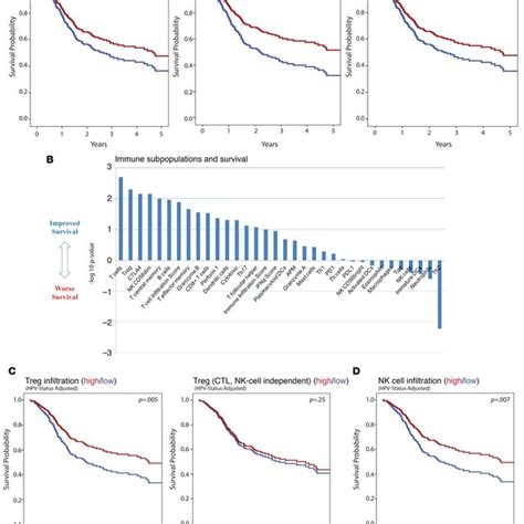 Head And Neck Squamous Cell Carcinoma Hnscc Immune Landscape And