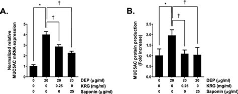 Inhibitory Effects Of Krg Extracts On Dep Induced Muc5ac Mrna