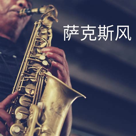 ‎apple Music 上晚上浪漫的音乐的专辑《萨克斯风 爵士乐 情歌》
